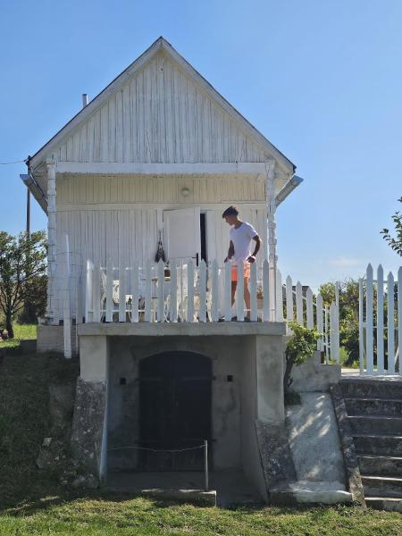 Alpaka Bakonya Faház - Hongrie