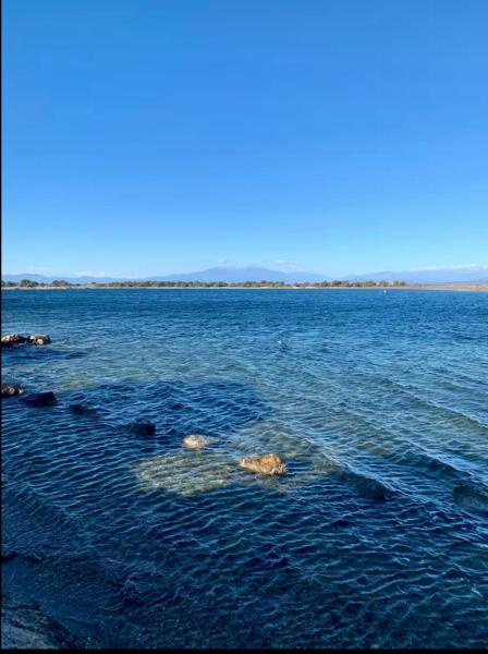 Maisonnette Proche Du Lac Marin - La Franqui