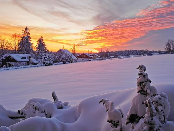 Landpension Pferdekoppel - B&b - Self Checkin - Baiersbronn