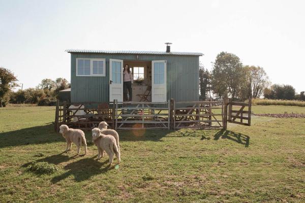 The Lookerer By Bloom Stays - Dymchurch