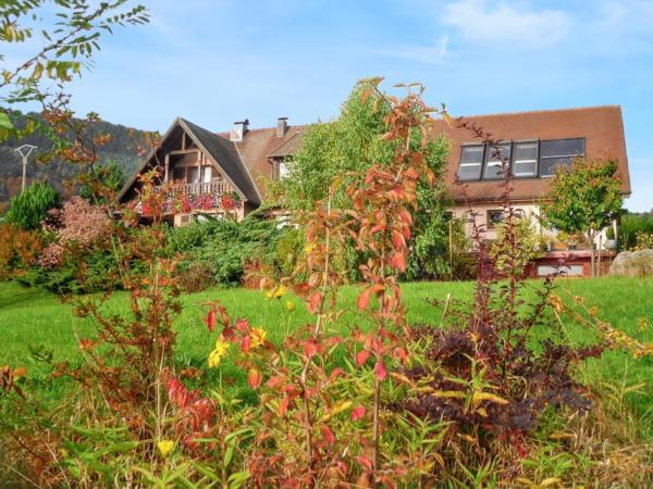 Appartement Charmant à Thannenkirch Avec Vue Montagne - Riquewihr