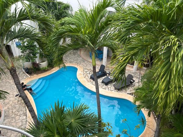 Blue Angel 8 A Unos Pasos De La 5 - Playa del Carmen