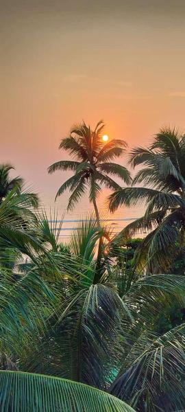 Kumbaya Beachside Hostel & Apartments At Arambol Beach - Goa