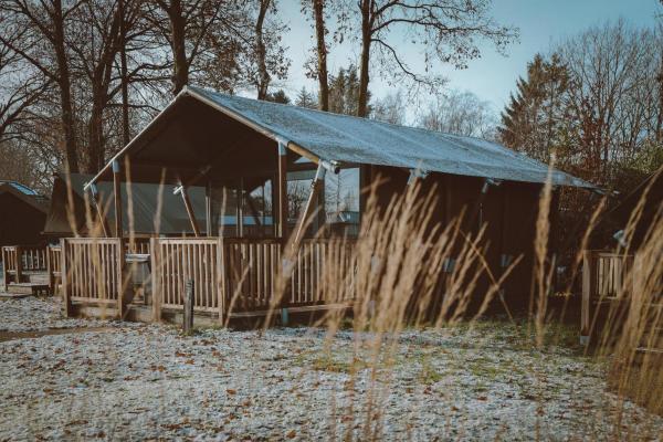 Glamping De Boshoek - Ermelo