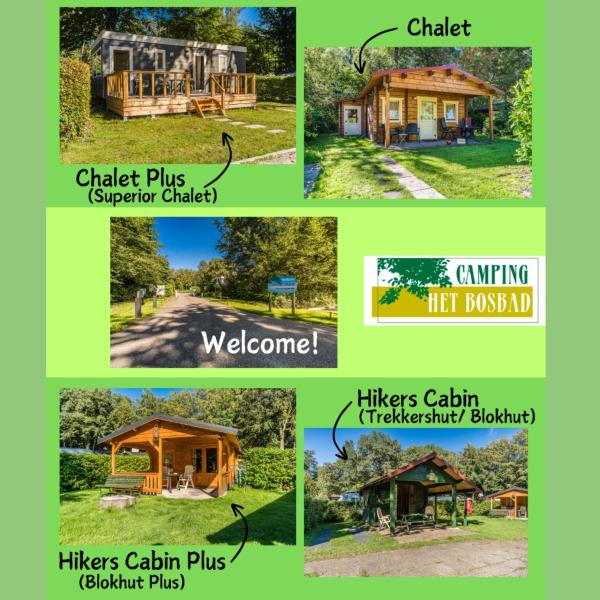 Camping Het Bosbad - Urk