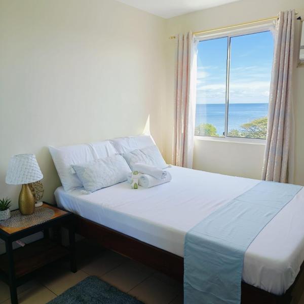 Veronica's Homestay At Marina Spatial Condo - Dumaguete