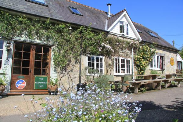 The Old Forge B&b And Glamping - Shaftesbury
