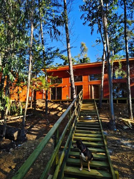 Cabañas Bosque Marino - Pichilemu