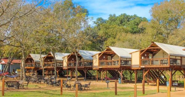 Safari Cabin 1 - Seguin