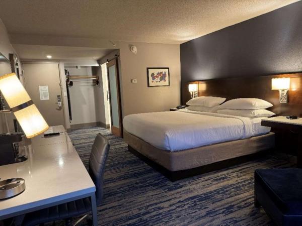 Skyline Hotel Detroit Airport, Surestay Collection By Best Western - Westland, MI