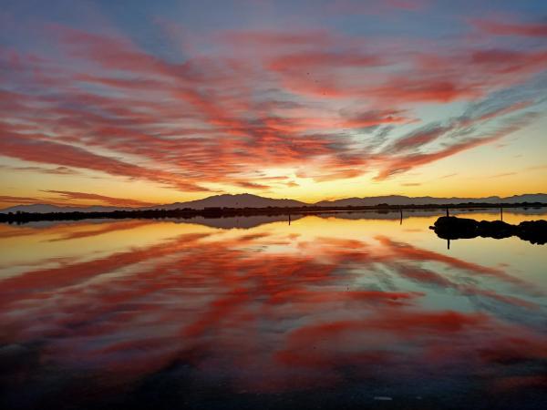 Studio Mezzanine 4p Avec Vue, Parking Privé - Le Barcarès - Fr-1-799-16 - Le Barcarès