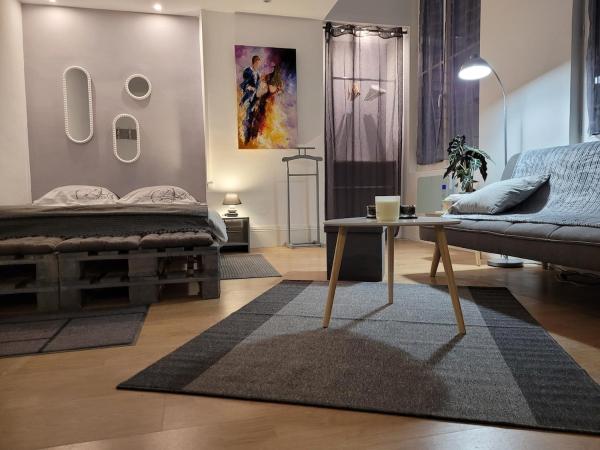 La Duchesse De Bourbon - ibis budget Châtellerault Nord