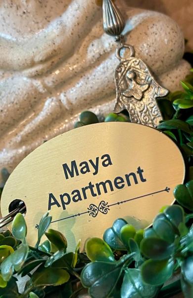 Maya Apartment - Cluj-Napoca
