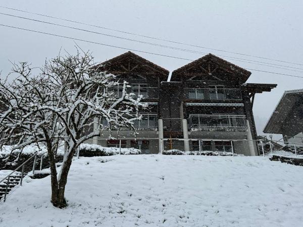 Lakeside Villa - 18 - Brienz