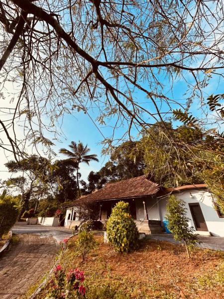 Silent House - Vagamon