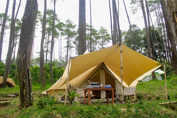 Lembah Pinus Cikole - Ciater