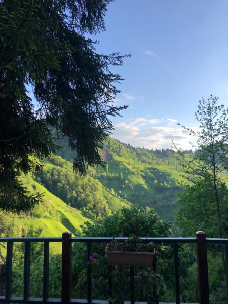ÇAmdibi Dağevi - Çamlıhemşin
