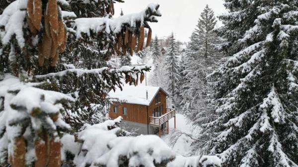 Gorska Vila - Kopaonik