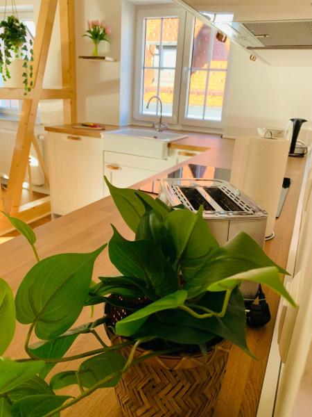 Traumwohnung - Direkt Am Marktplatz - Freudenstadt