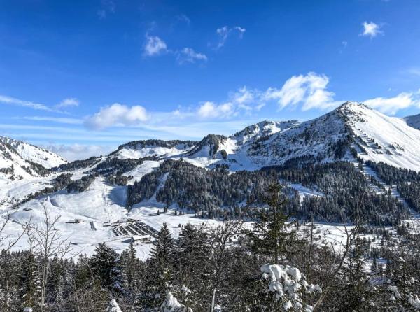 Couleurs Des Alpes Au Pied Des Pistes De Sommand Praz De Lys - Bonneville