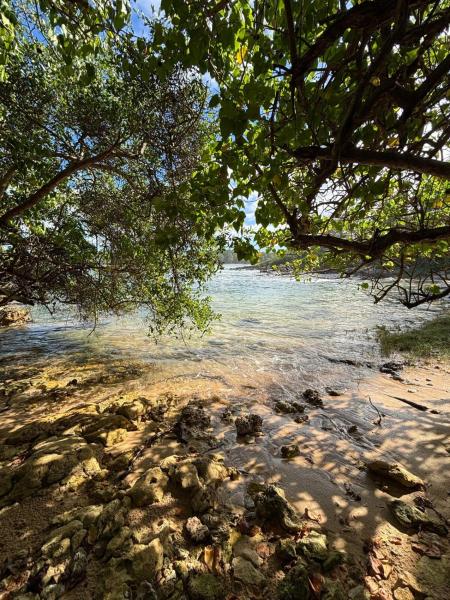 L'amandier De Suzana - Plage Intimiste Juste En Face - Guadeloupe