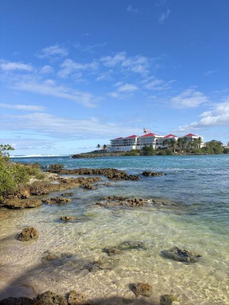 L'amandier De Suzana - Plage Intimiste Juste En Face - Guadeloupe