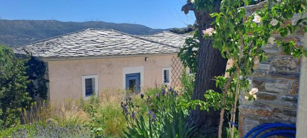 O Kipos - Эвбея