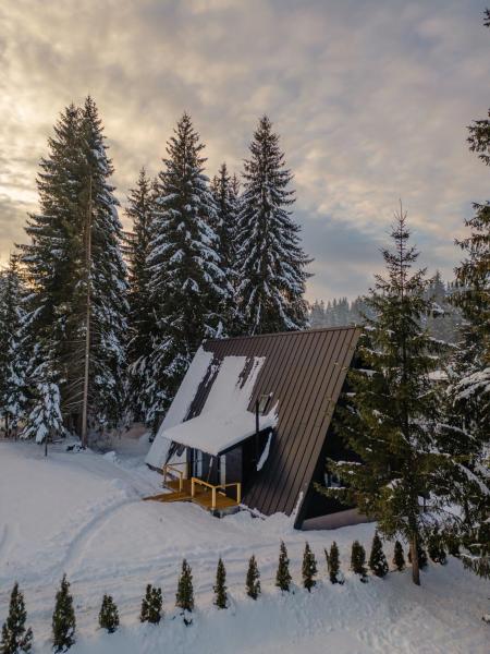 Black Raven Cabin - Toplița