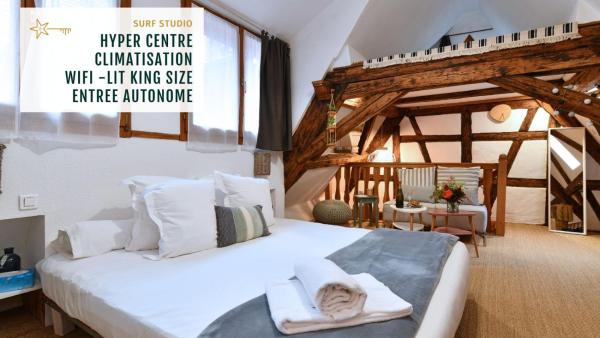 Gite See You Soon - Studio Surf - Colmar