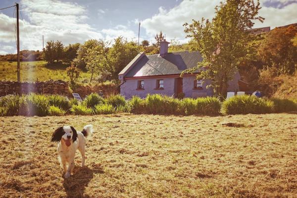 Mountain Cottage With Barn Sauna, Clonbur, Galway - Mayo