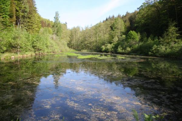 Fewo Fels- Und Seenland - Pirmasens