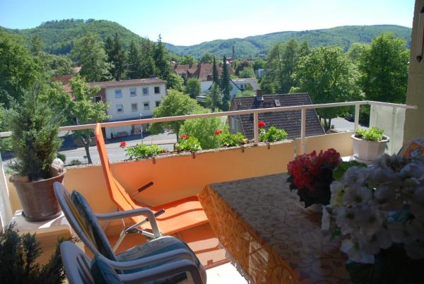 Ferienwohnung-bergblick - Harz