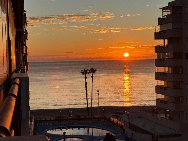 Flaming Topacio - Bonaire