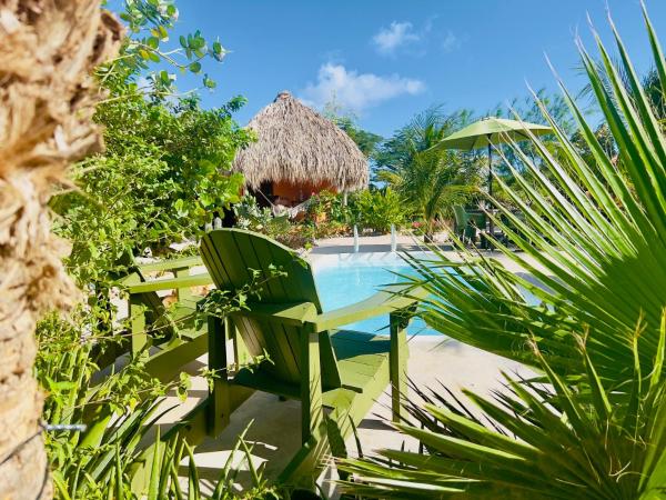 The Octopus Tropical Oasis - Curaçao