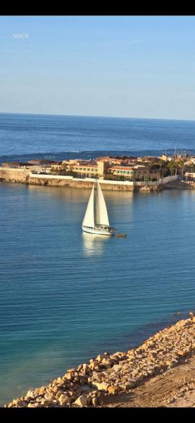Nour 1 - Alexandria