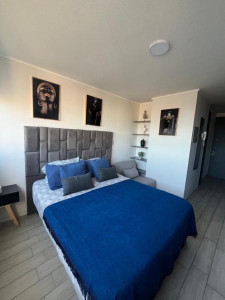 Aparthotel En Santiago Cerca De Movistar Arena - Santiago