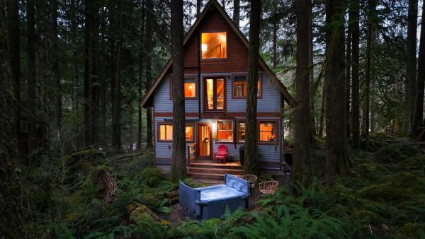 Treetop Hideaway, Sleeps 2 - Glacier, WA