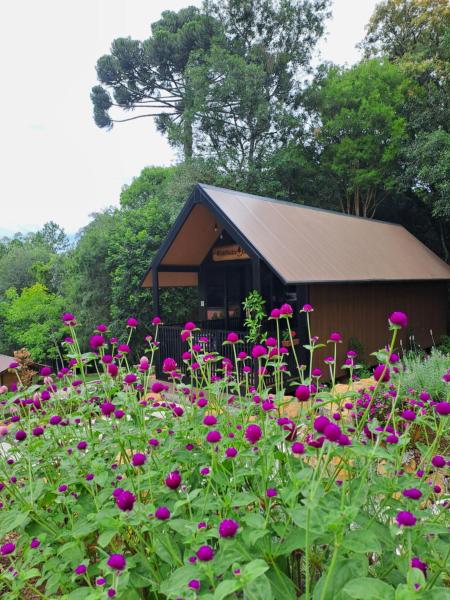 Cabana Do Mato Waldhütte - Treze Tílias
