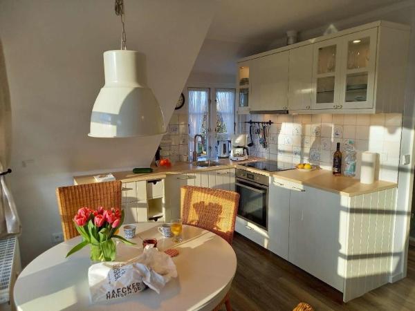 Blaukehlchen - B71315 - Nieblum