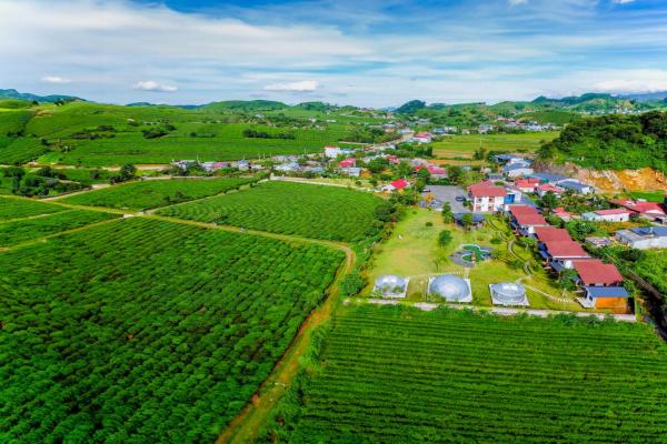 Emopea Moc Chau - Tỉnh Sơn La