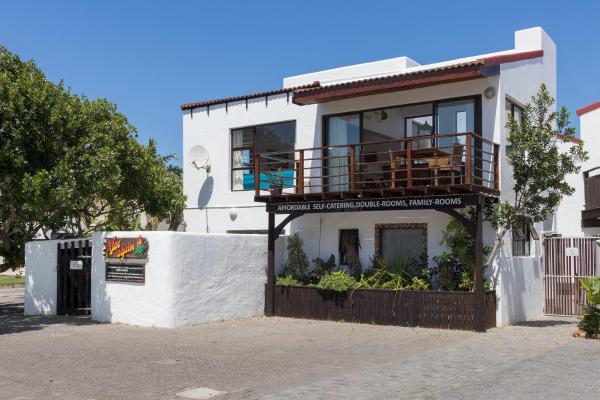 Aloe Again - Jeffreys Bay