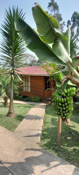 Chontaqui Eco-lodge - Oxapampa