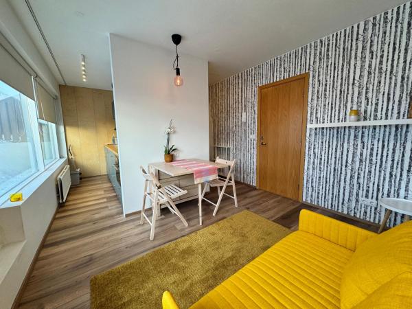 Bright & Cozy Central Studio - Reykjavik