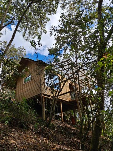Cabaña Del Bosque - Antioquia
