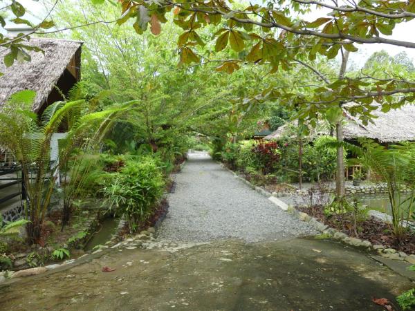 Magpie Homestay & Jungle Trekking Especially For Guest Trekking With Us - North Sumatra