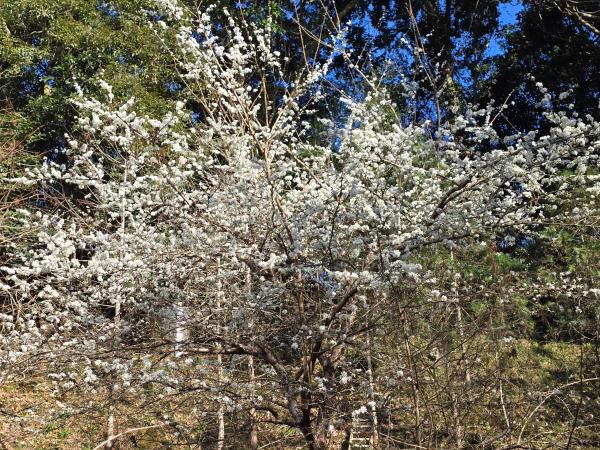 Nanzhuang Haoshanhaishui B&b - 난좡 향