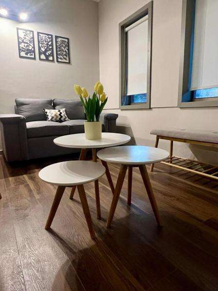 Departamento Roble - Puerto Montt