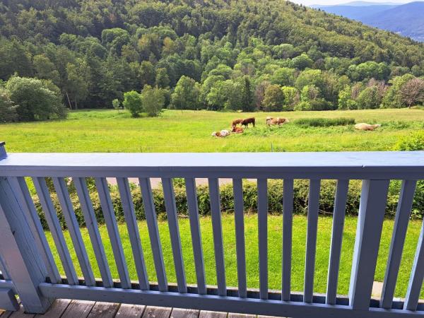 Ferienwohnung Sonnenschein - B71303 - Eging am See