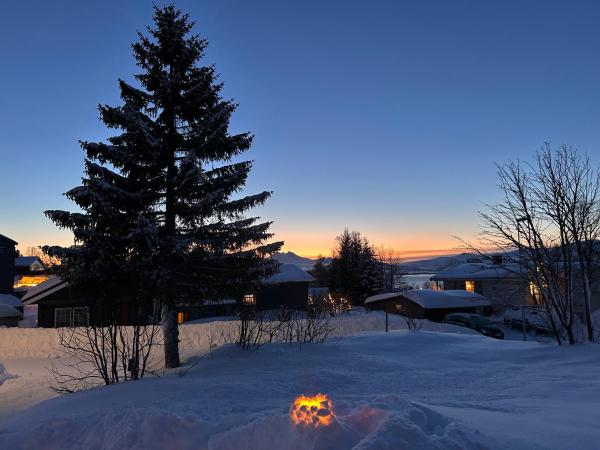 New Luxurious Aurora Apartment - Tromsø