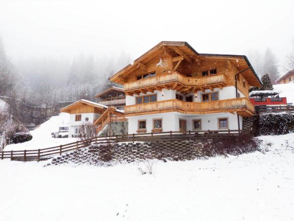 Alpensteinbock Saalbach D - Viehhofen